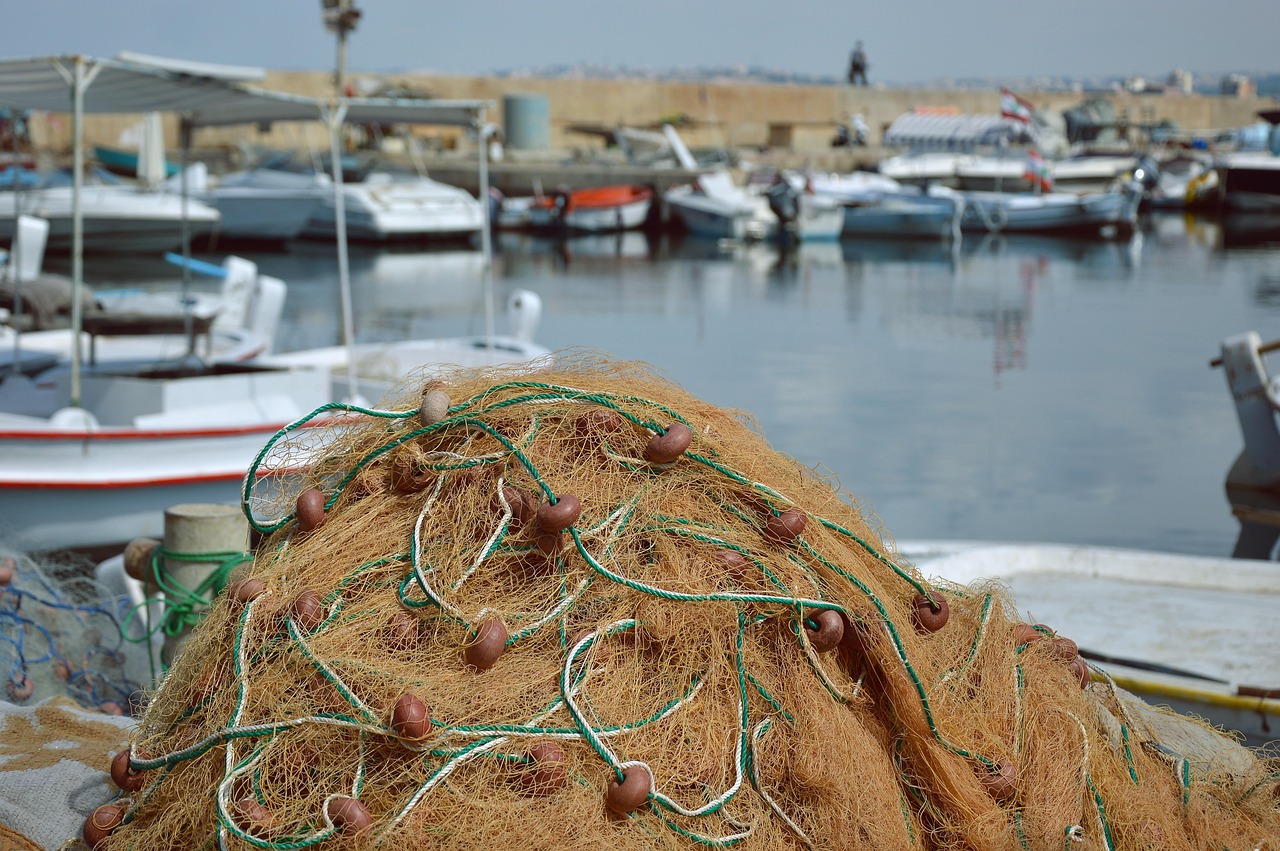 🌊 Sustainable Fishing Practices: Lessons from Indigenous Coastal ...